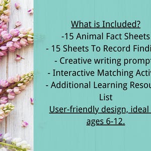 How Animals Survive Winter - Etsy