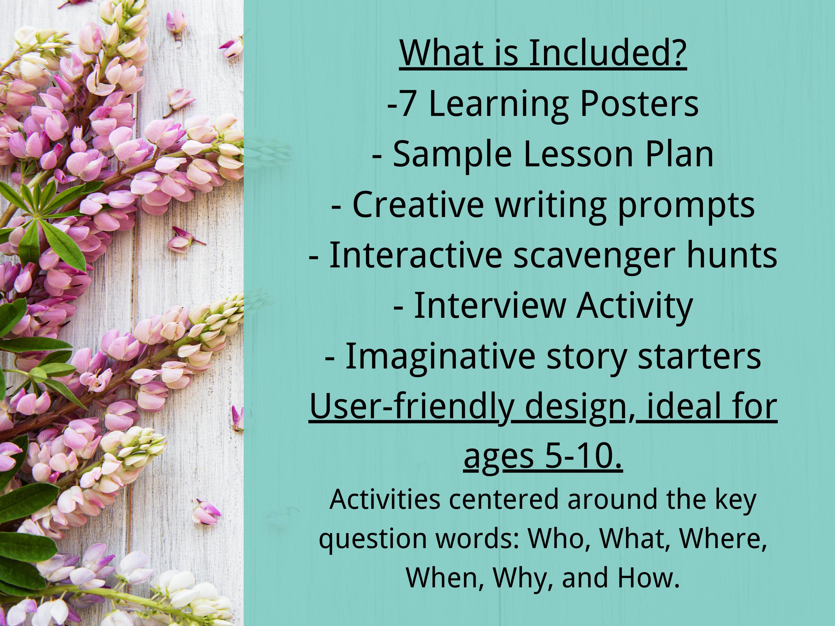 Adventures With Question Words: Who, What, Where, When, Why, & How - Etsy