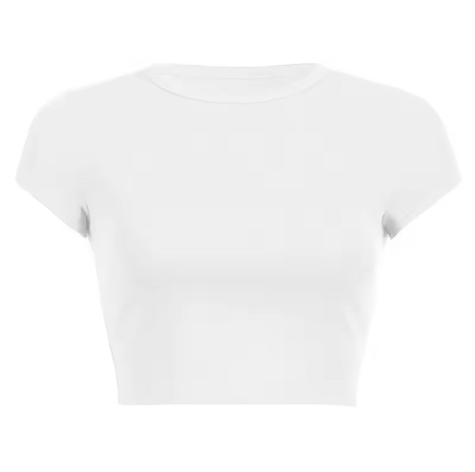 His Ex is My Biggest Fan Crop Top, Ex Girlfriend Cropped Top, Trending ...