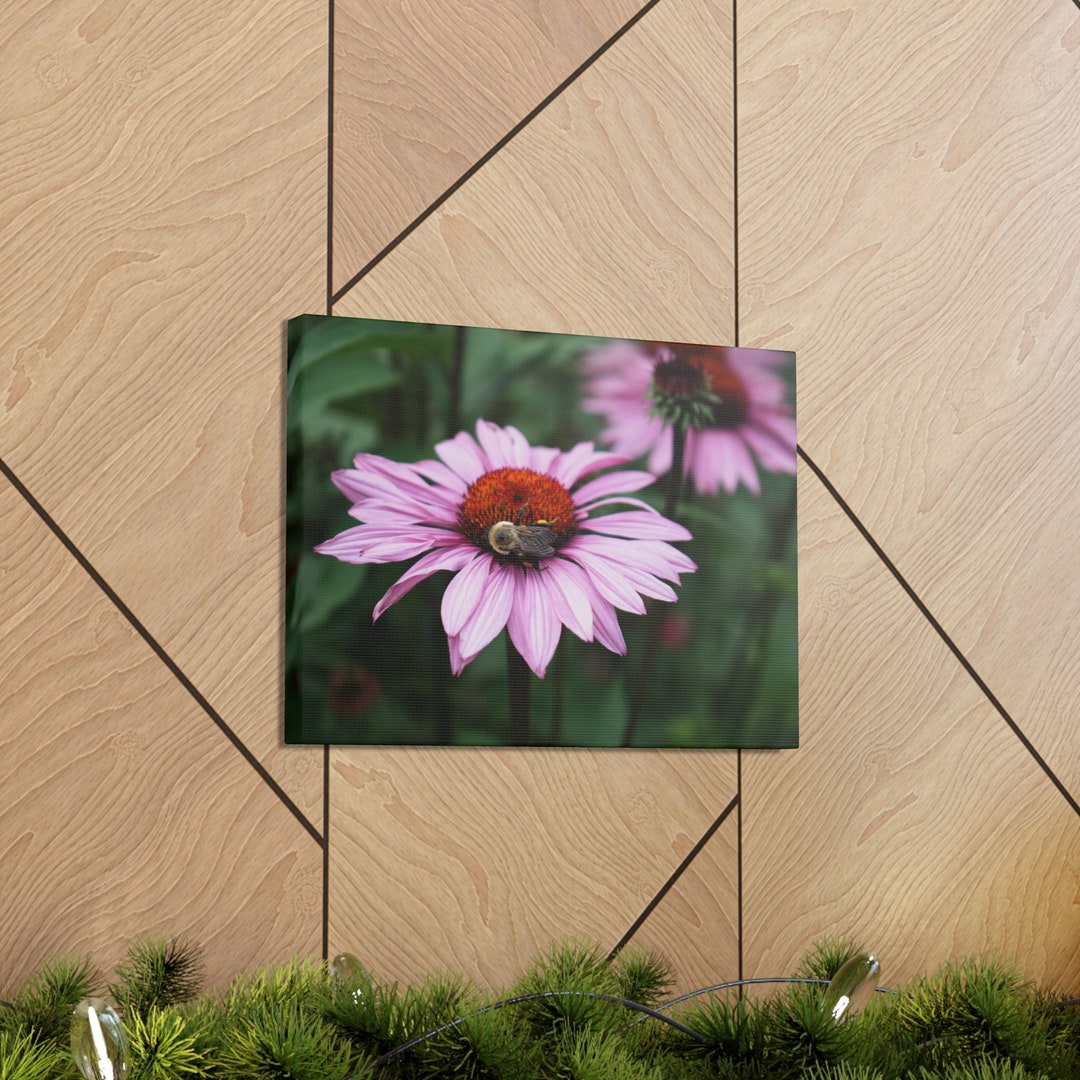 Canvas, Bee Photography, Fine Art Print, Bee Lover, Cubicle Decor for ...