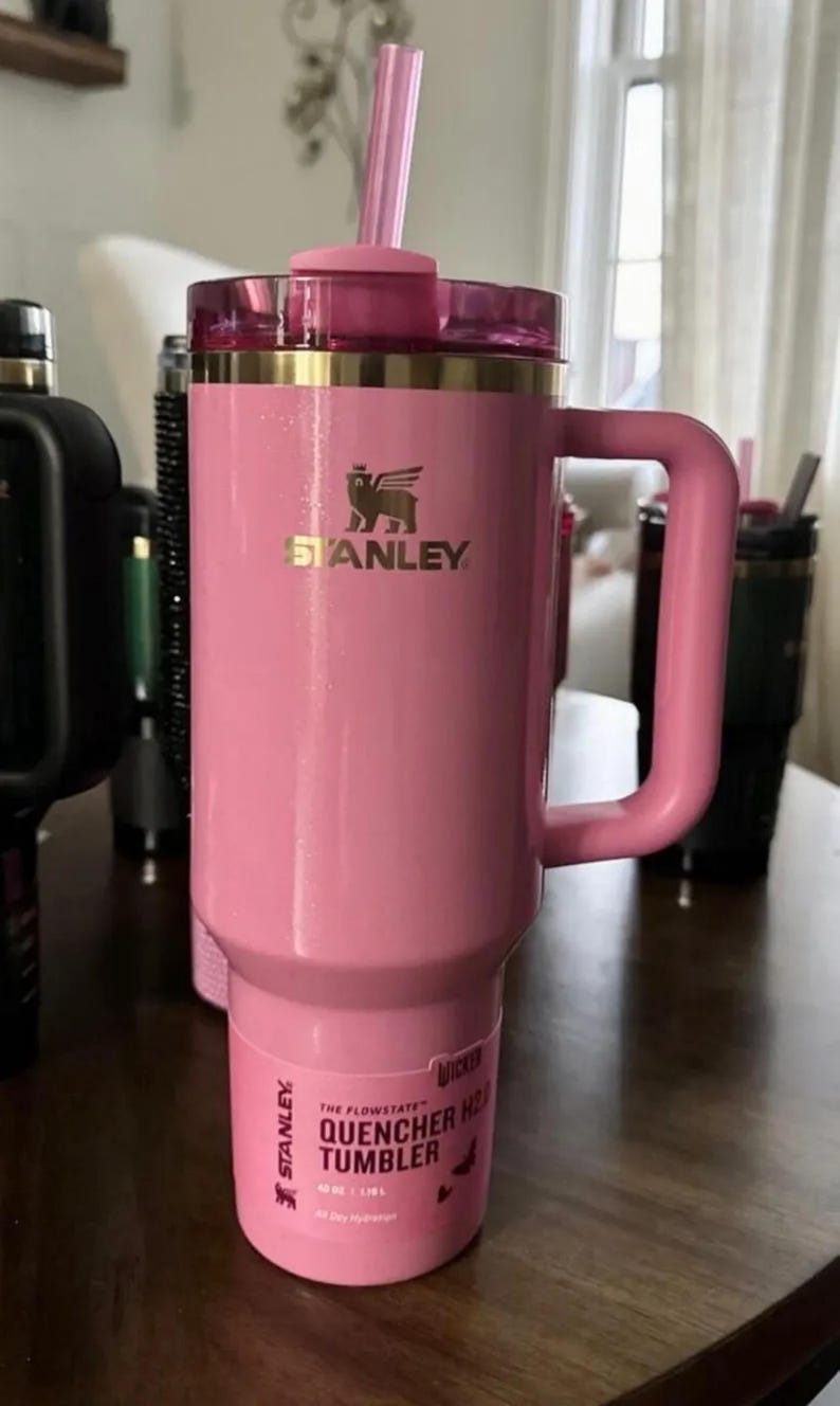 Customisable Elphaba wicked Stanley 40oz Cup Stanley Tumbler ...