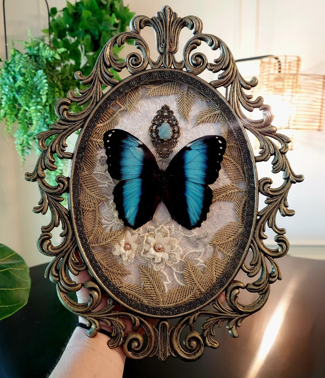 Vintage Bubble Frame With Morpho Achilles Butterfly, Insect Art ...