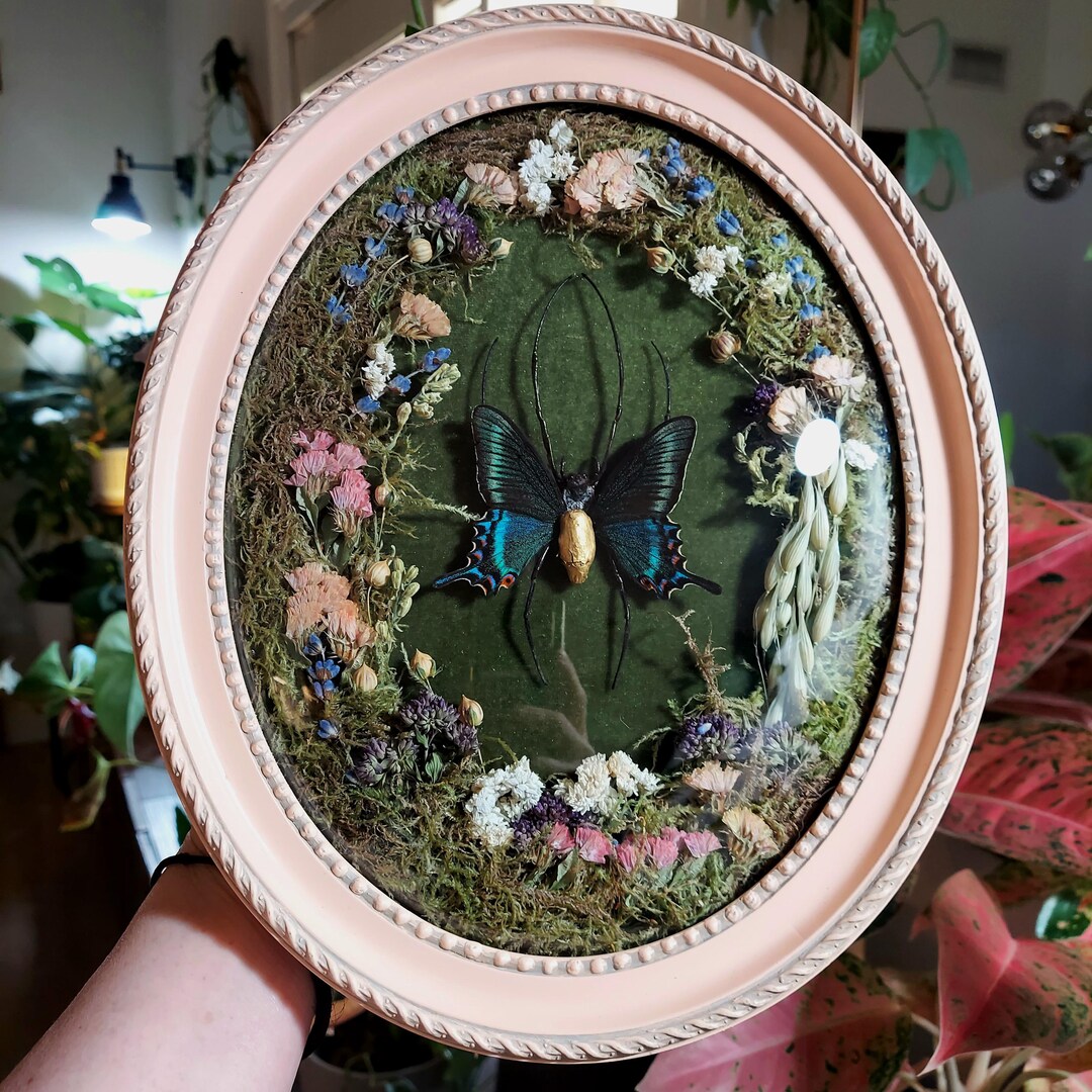 MCM Bubble Frame With Orb Weaver Fairy, Dark Academia, Moody Decor ...