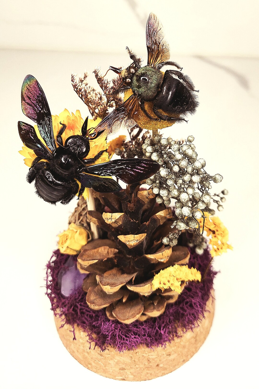 Carpenter Bee Glass and Cork Terrarium, Dried Flowers, Crystals, Moss ...