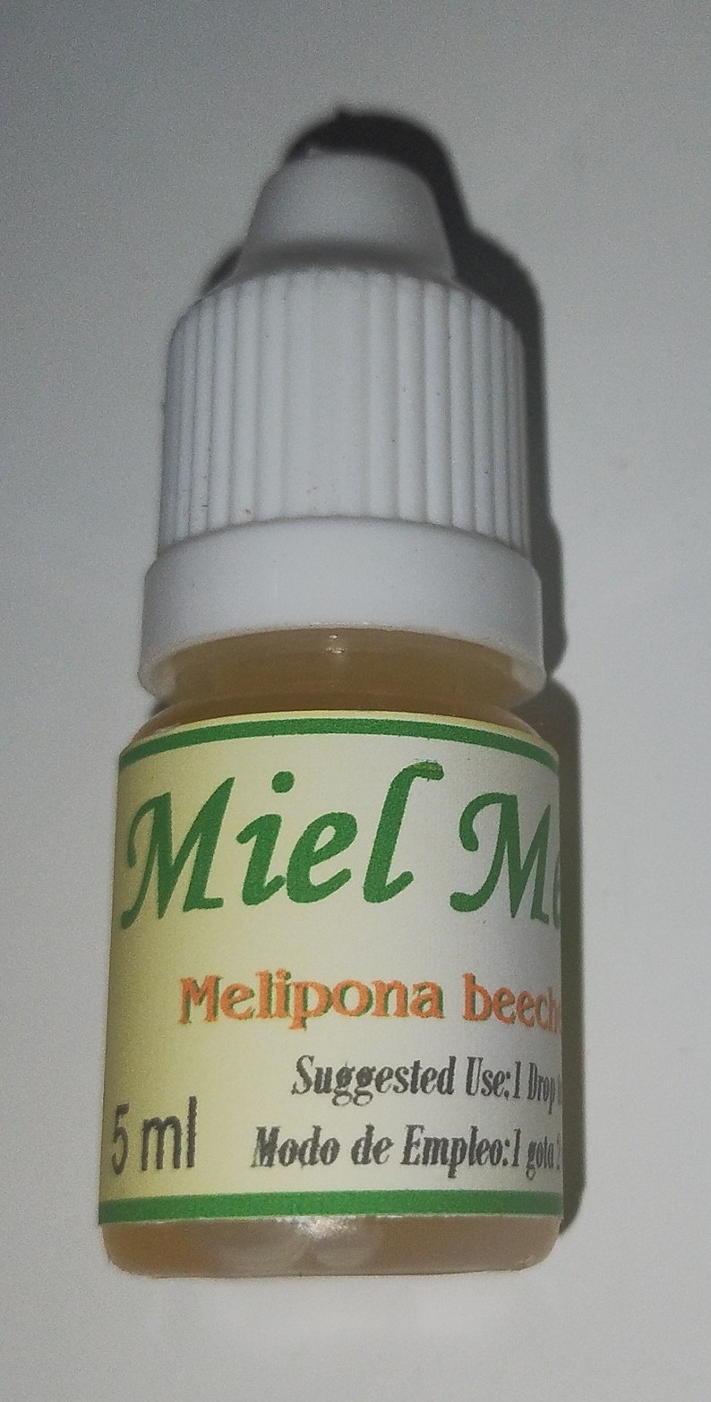 Melipona Miel Natural Gotas Beecheeii Honey Natural Stingless Bees - Etsy