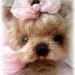 PDF Sewing Pattern for 5.5 Inch Yorkie Dog PDF - Etsy