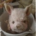 PDF Sewing Pattern for Piglet "truffel" - Etsy
