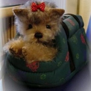 Sewing PDF Pattern for 8.5 Inch Yorkie "teddy" - Etsy