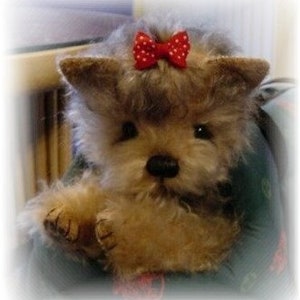 Sewing PDF Pattern for 8.5 Inch Yorkie "teddy" - Etsy