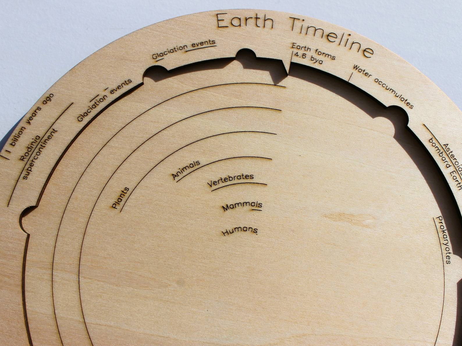 Earth Timeline Activity for Montessori Learning Materials Homeschooling ...