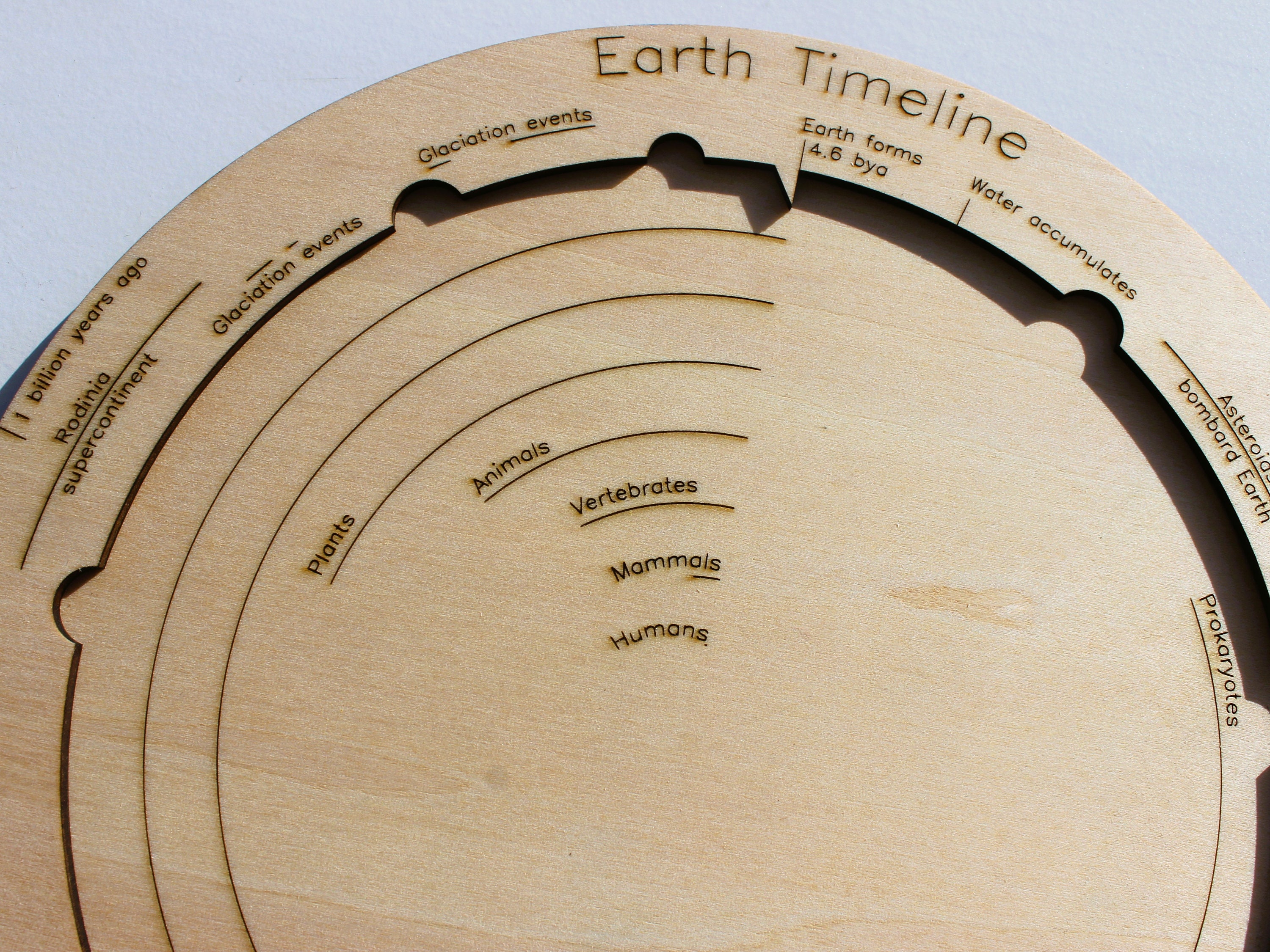 Earth Timeline Activity for Montessori Learning Materials Homeschooling ...