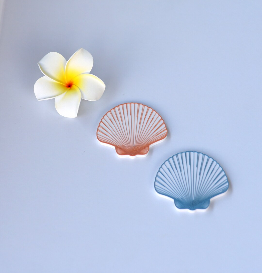 3D Raised Sand and Sky Seashell Decals - Minimalist Island Beauty - Etsy
