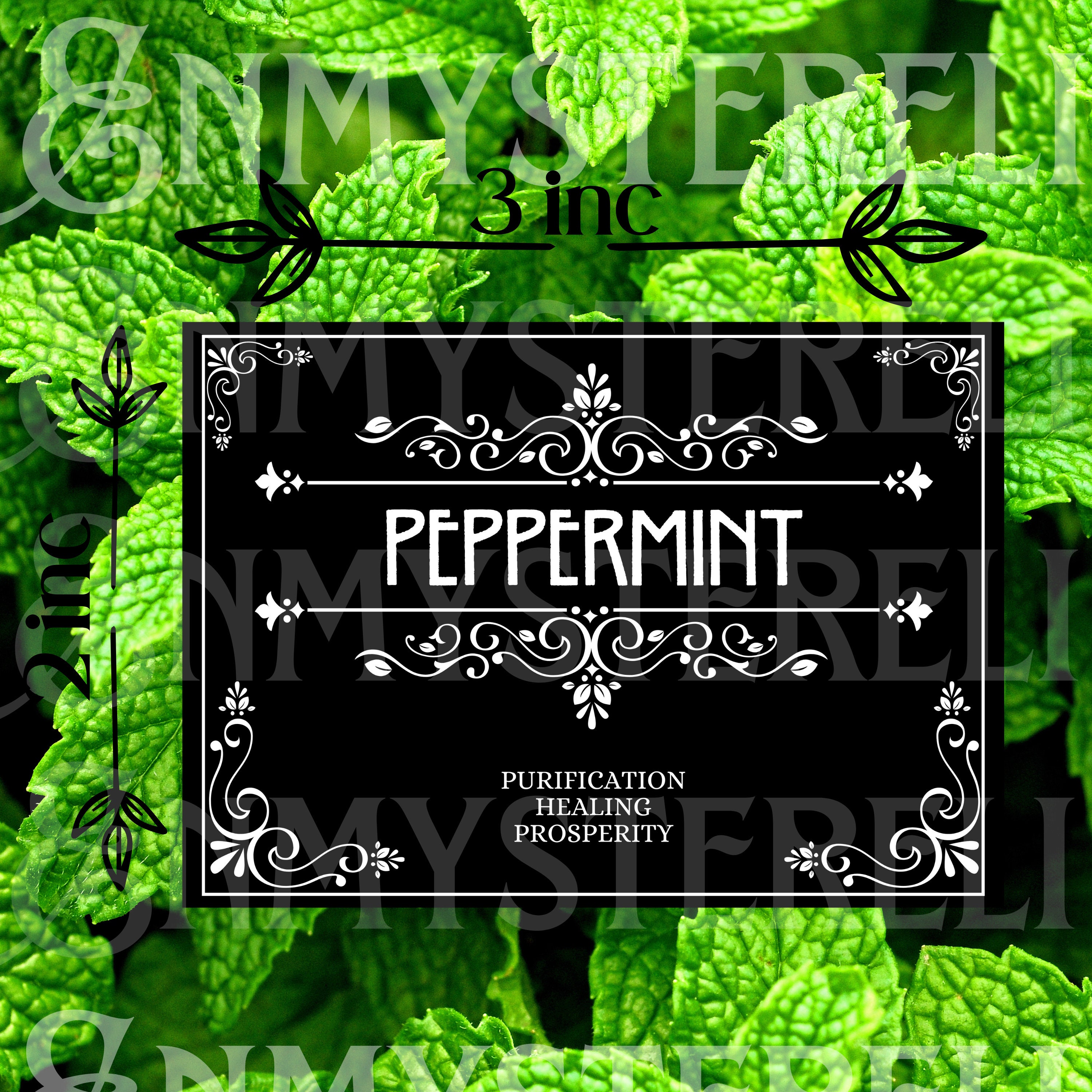 Printable Witchy Apothecary Herb and Spice Jar Labels | Vintage Herbal ...