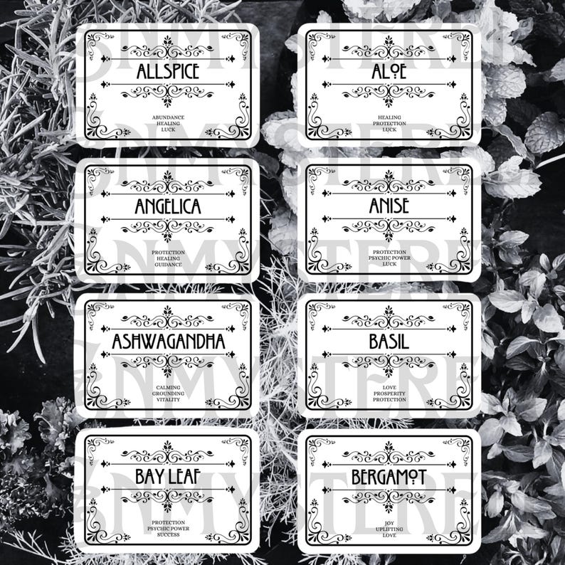 Printable Witchy Apothecary Herb and Spice Jar Labels | Vintage Herbal ...