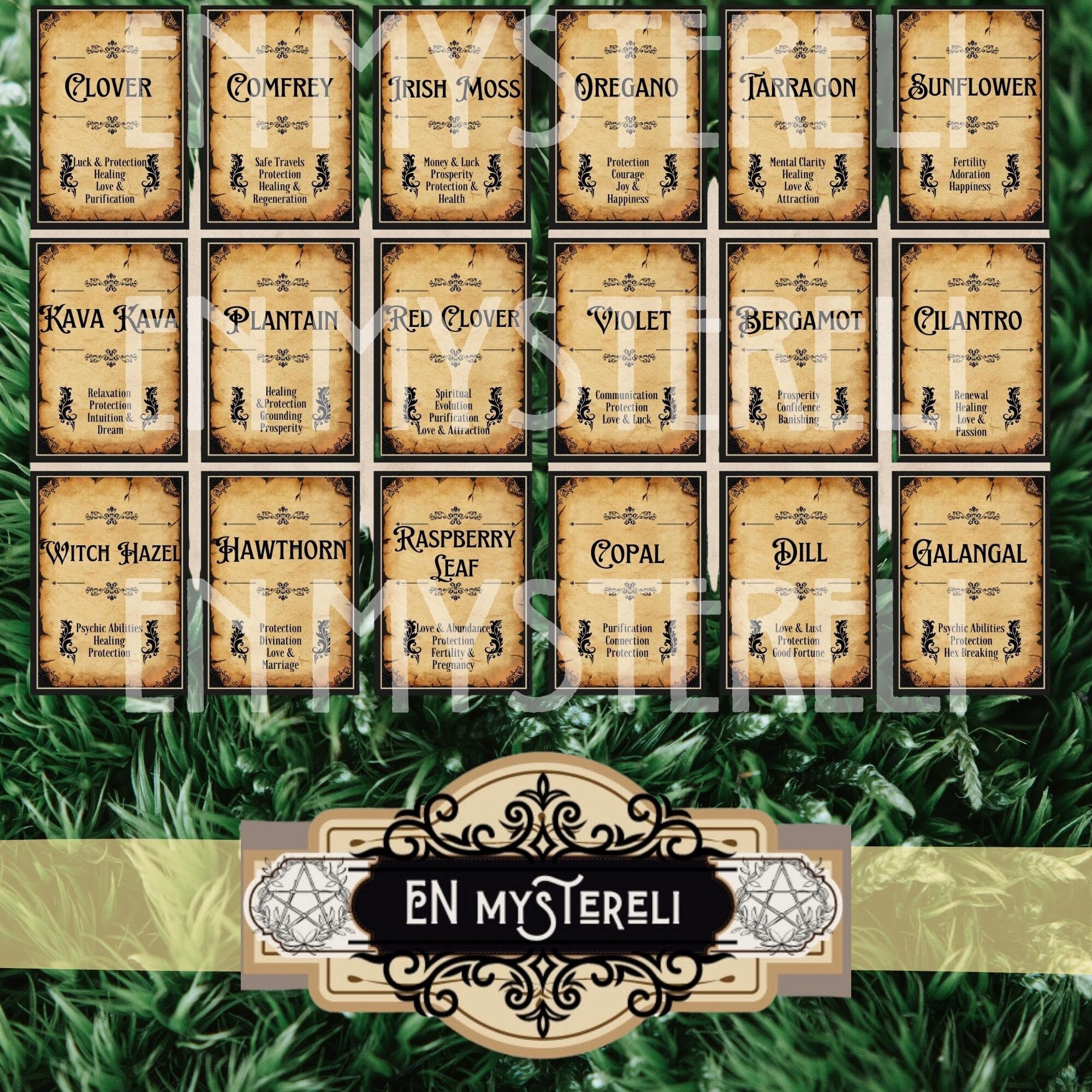 Herbalism, Spice Labels Jar, Witch Apothecary, Herb Label, Wicca Herbs ...
