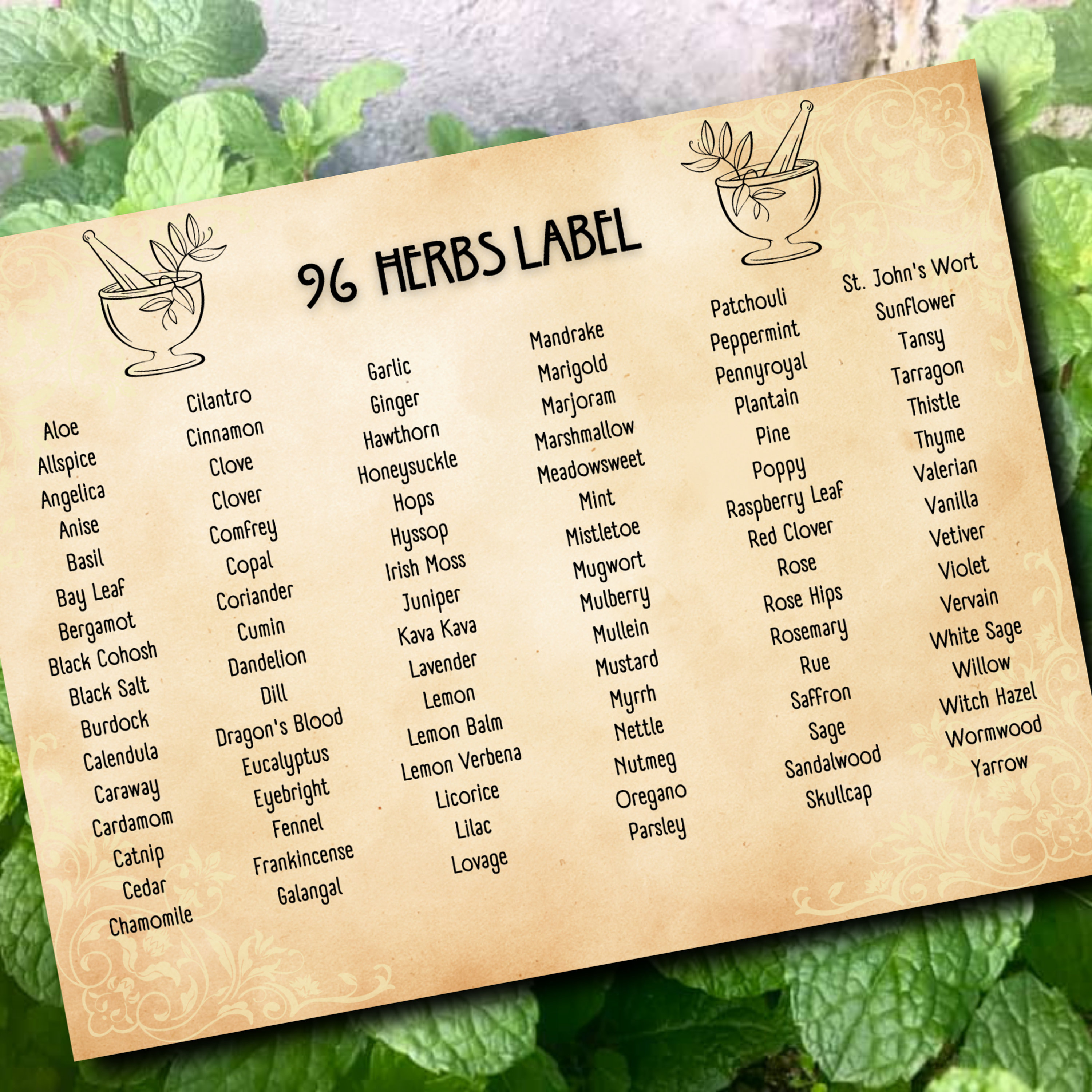Herbalism, Spice Labels Jar, Witch Apothecary, Vintage Herb Label ...