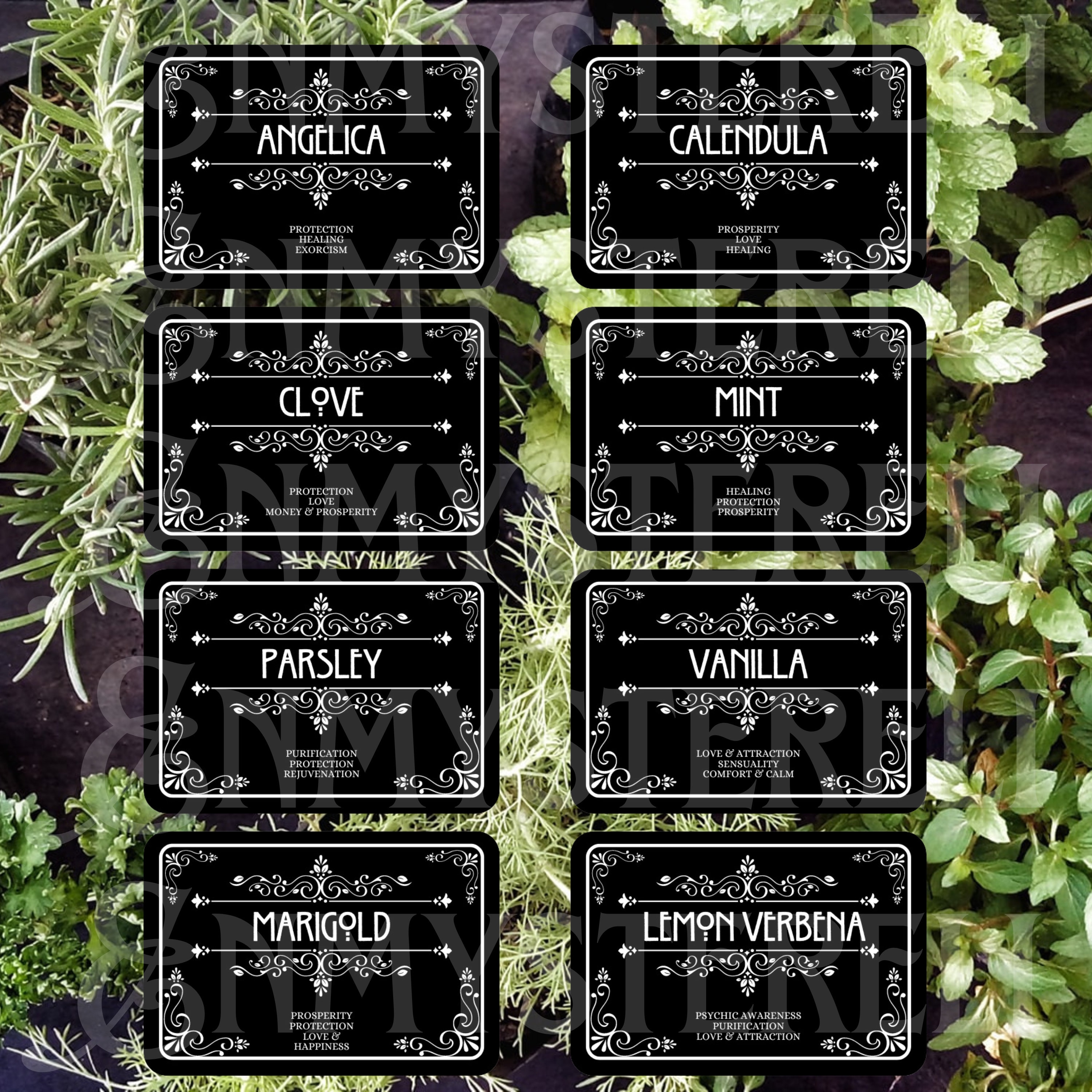Printable Witchy Apothecary Herb and Spice Jar Labels | Vintage Herbal ...