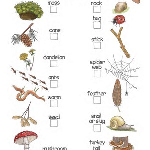 Printable Nature Journal for Kids - 58 Page Elementary Student Workbook ...