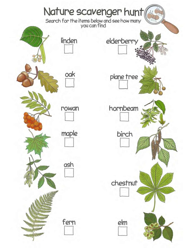 Printable Nature Journal for Kids - 58 Page Elementary Student Workbook ...