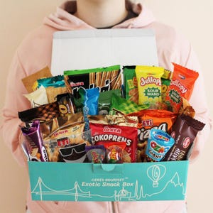 Exotic Snack Box Variety Pack, Premium Foreign Rare Snack Food Gifts ...