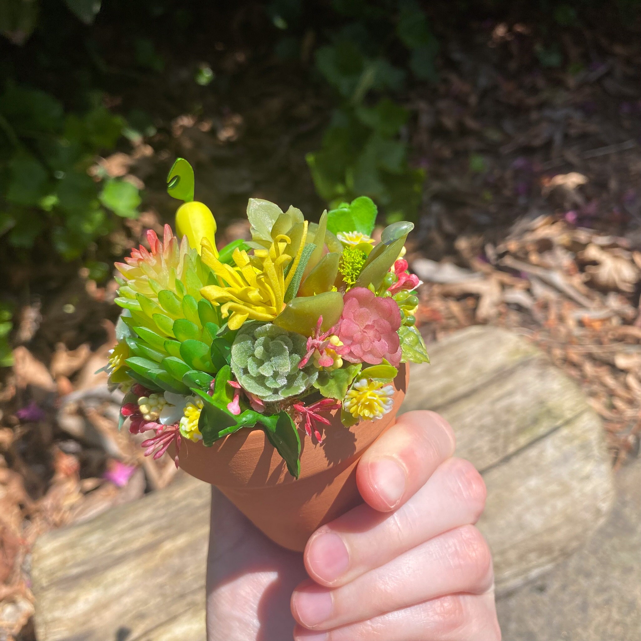 Bayleef Pokemon Terrarium Pokeball Succulent Terrarium Diorama Pokeball ...