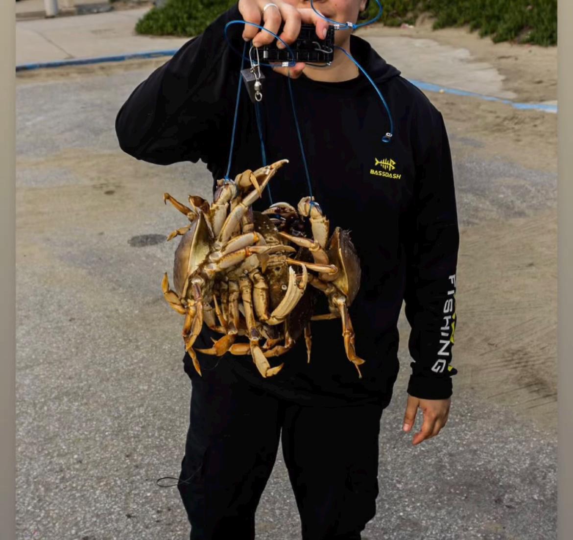3 Pack Crab Snare for Dungeness, Rock, Stone, and Blue Crabs MADE IN ...