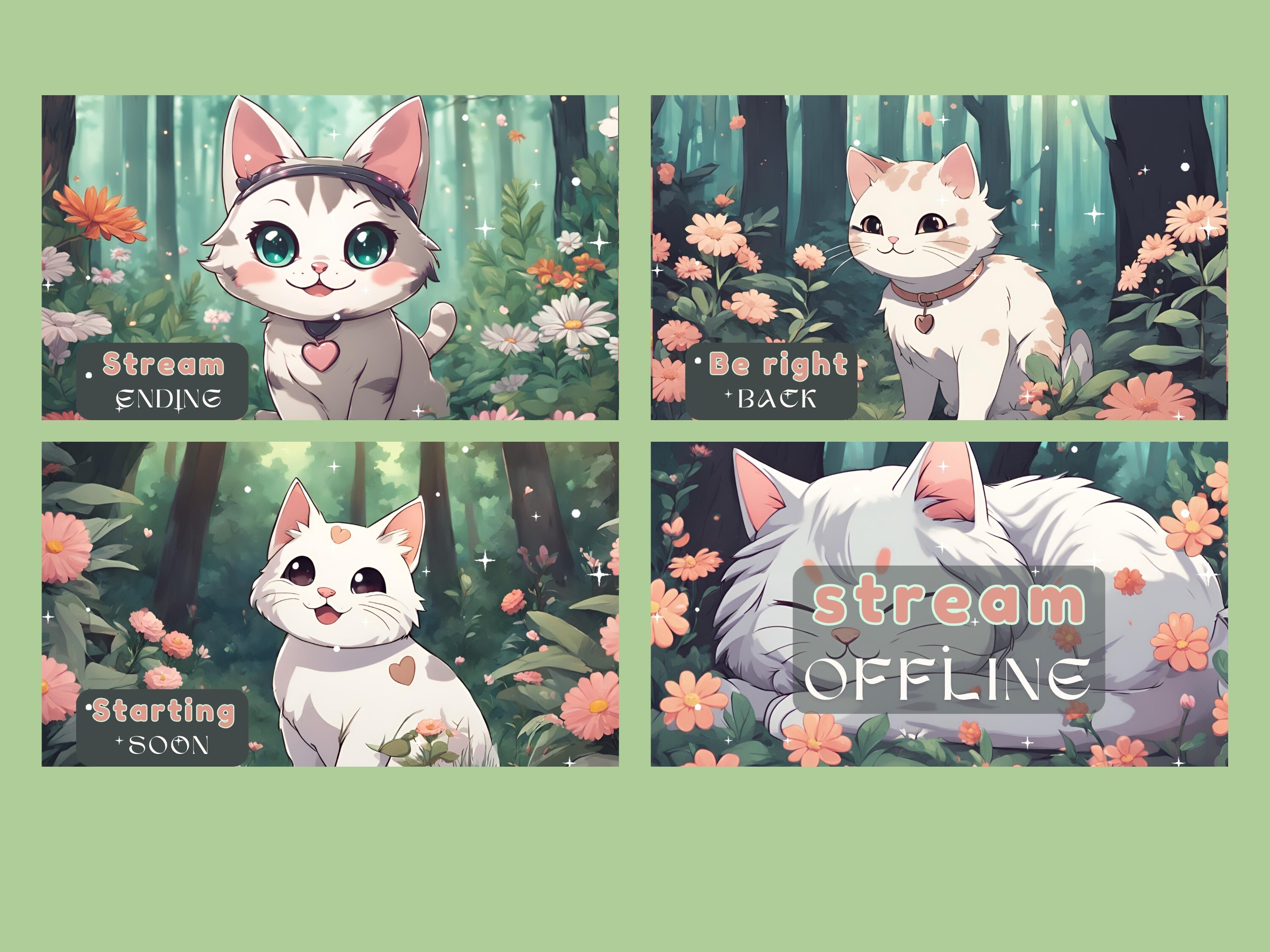 Twitch Overlay Cat Animated Starting Soon Loading Be Right Back Stream ...