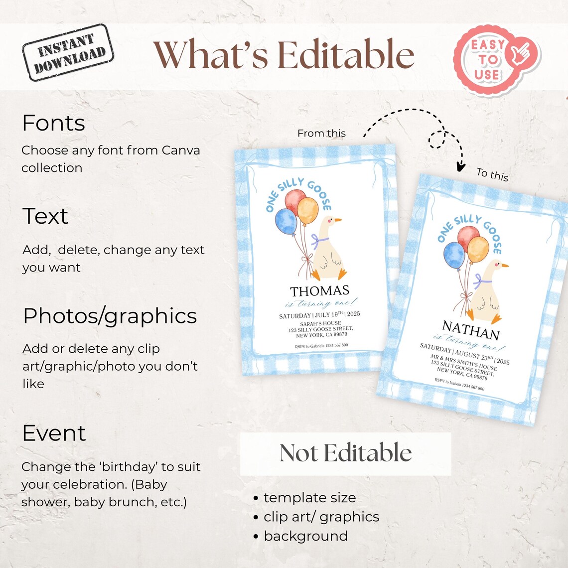 Editable Silly Goose Birthday Invitation Floral Pink Gingham Goose ...
