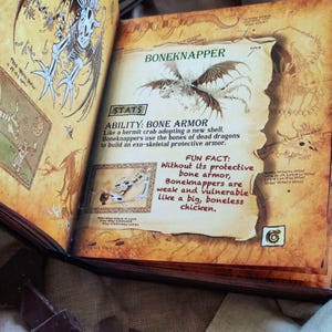Dragon Manual Book HTTYD How to Train Your Dragon - Etsy Australia