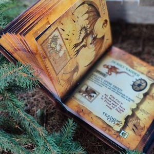 Dragon Book Httyd How to Train Your Dragon - Etsy