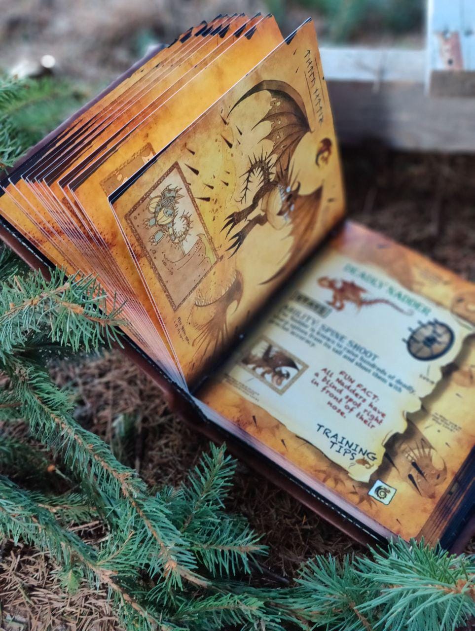 Dragon Book Httyd How to Train Your Dragon - Etsy