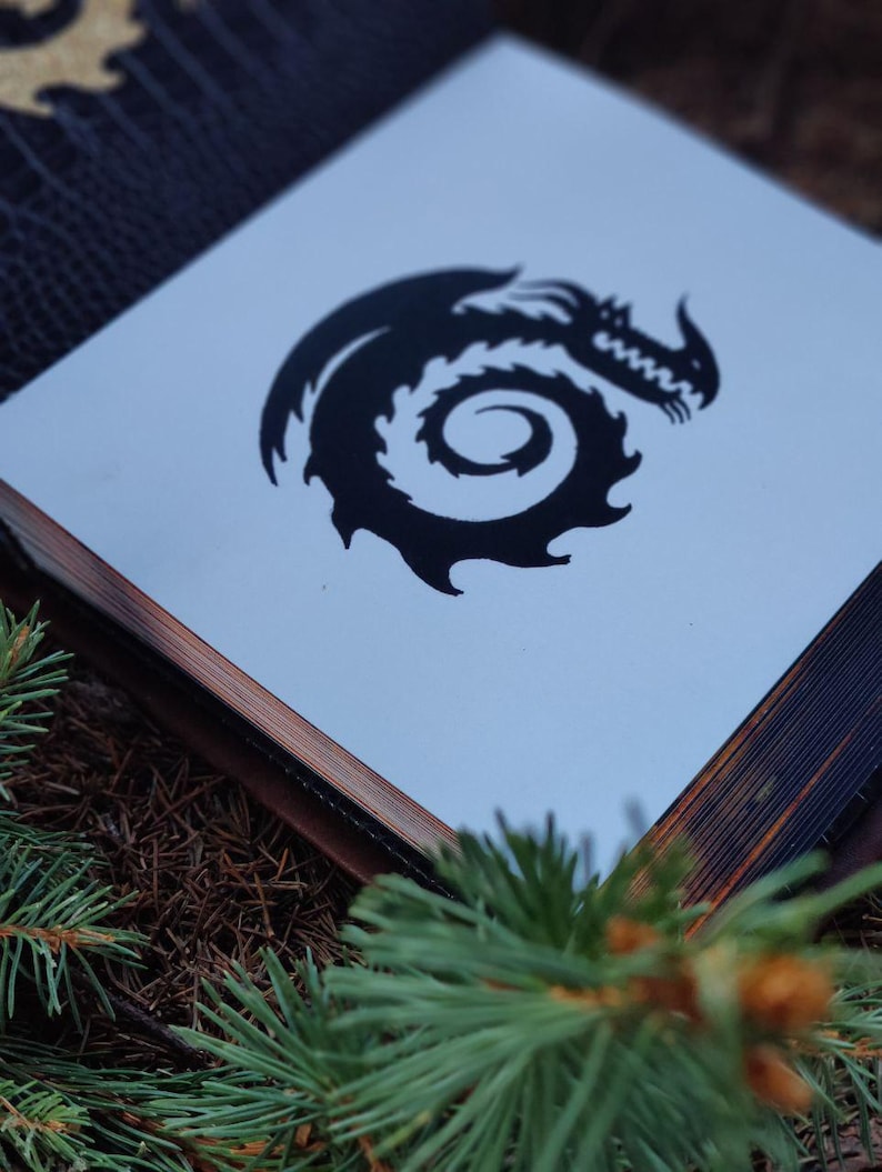 Dragon Book Httyd How to Train Your Dragon - Etsy