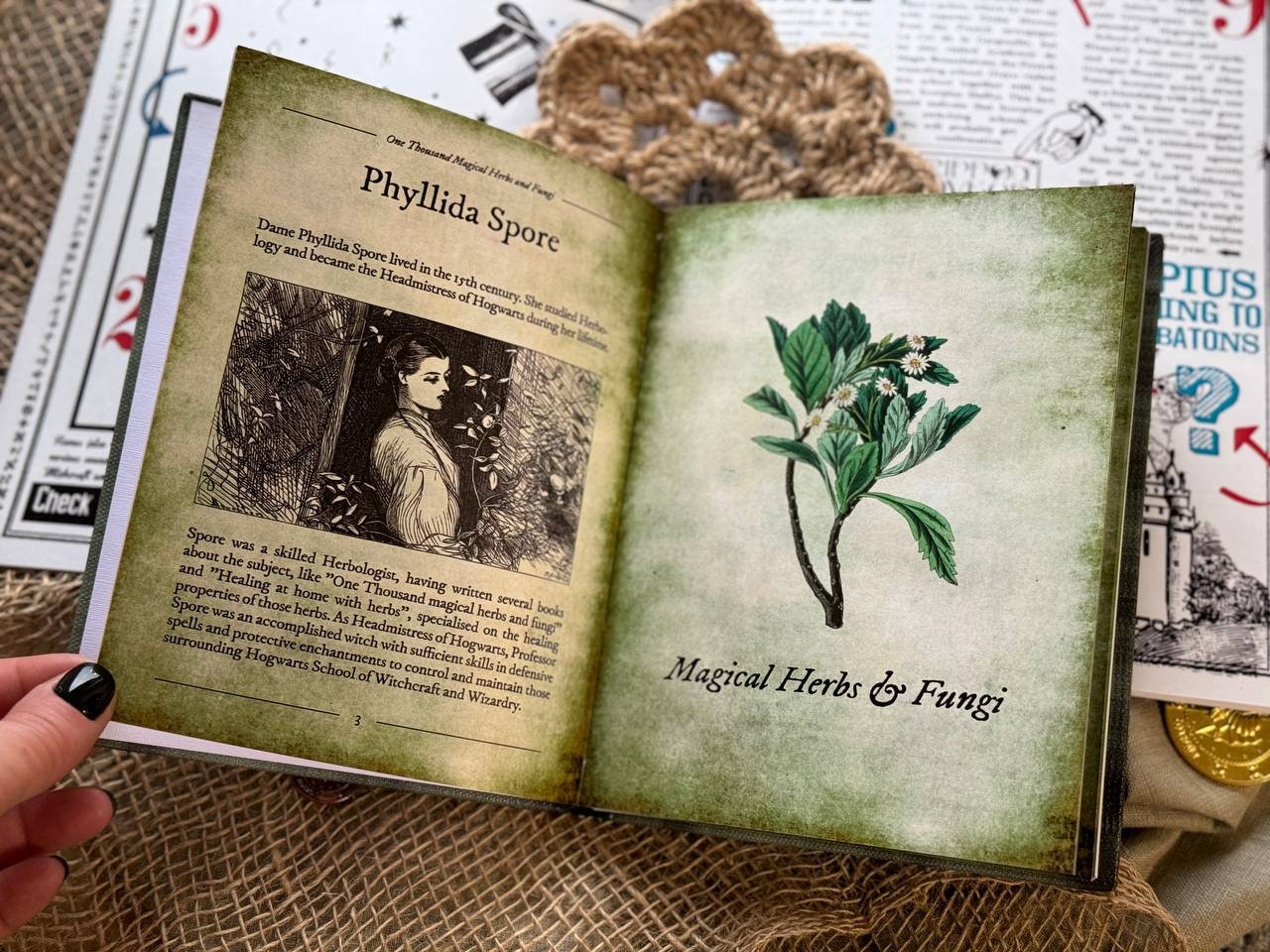 One Thousand Magical Herbs and Fungi Book - Etsy