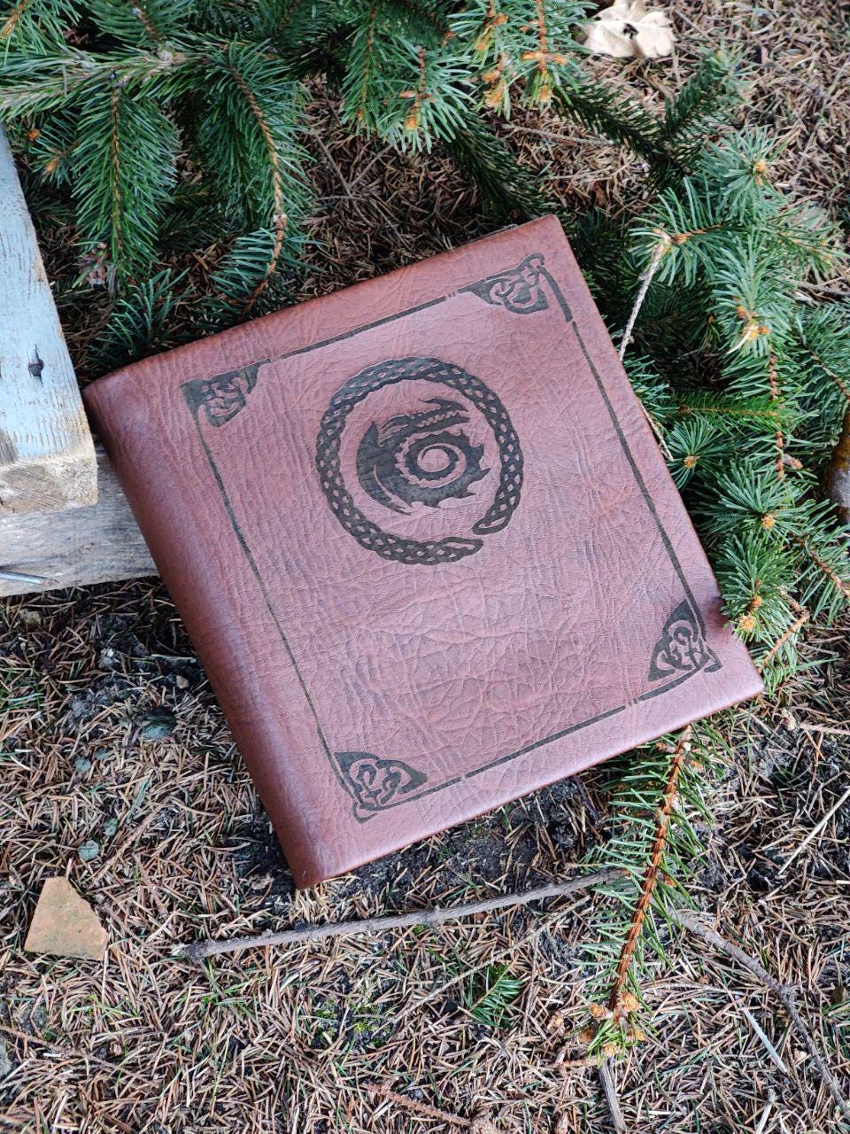 Dragon Book Httyd How to Train Your Dragon - Etsy
