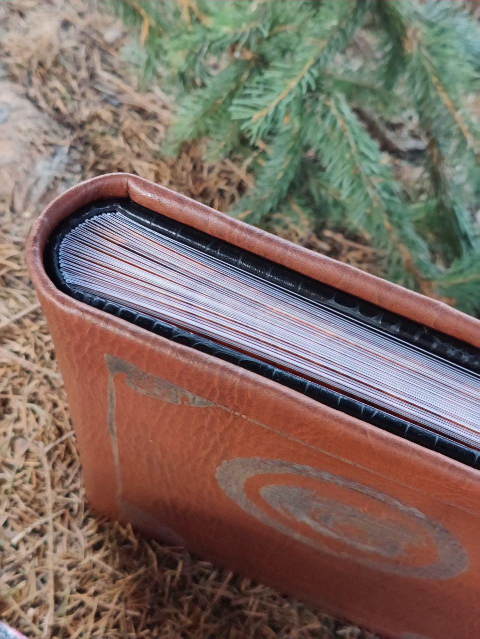 Dragon Book Httyd How to Train Your Dragon - Etsy