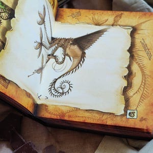 Dragon Manual Book HTTYD How to Train Your Dragon - Etsy Australia