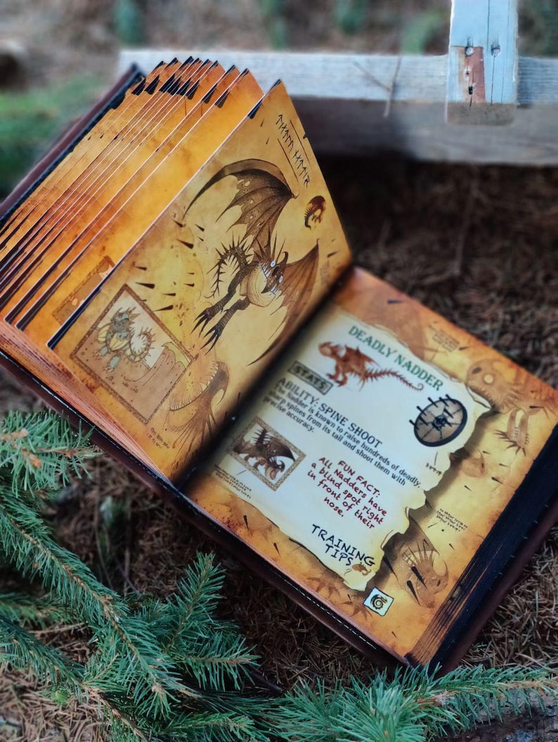 Dragon Book Httyd How to Train Your Dragon - Etsy