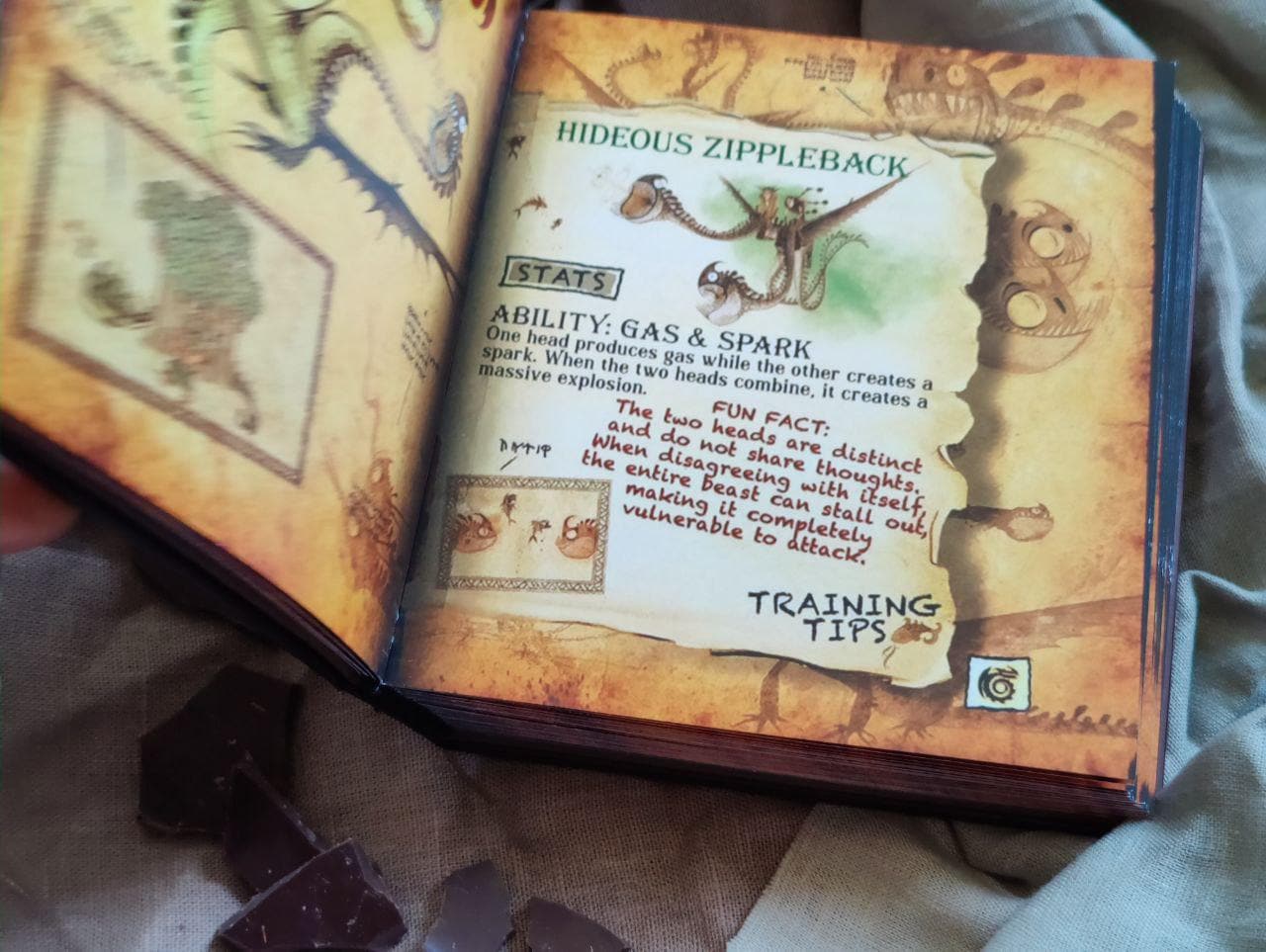 Dragon Manual Book HTTYD How to Train Your Dragon - Etsy Australia
