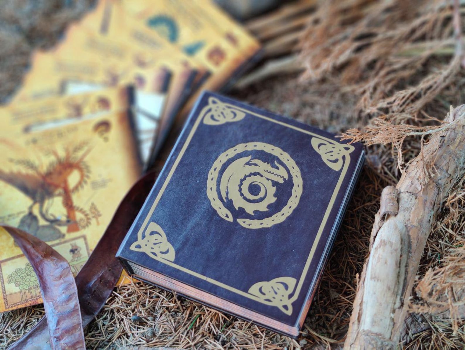 Dragon Manual Book HTTYD How to Train Your Dragon - Etsy