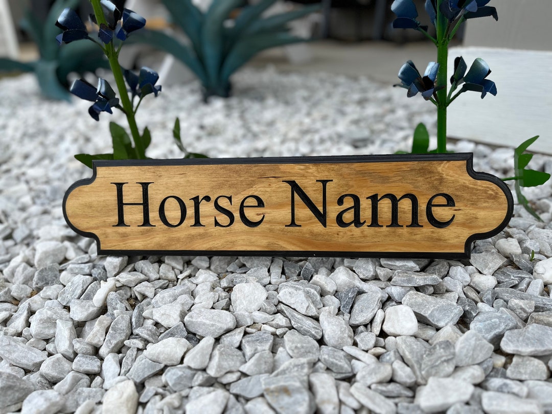 Horse Stall Name Sign 3 Pack - Etsy