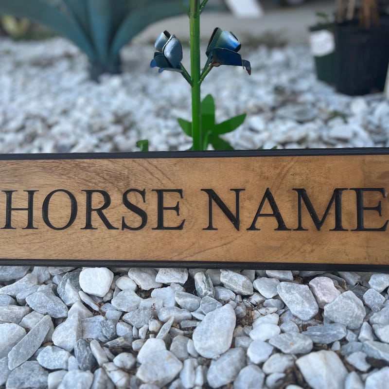 Horse Stall Signs - Etsy