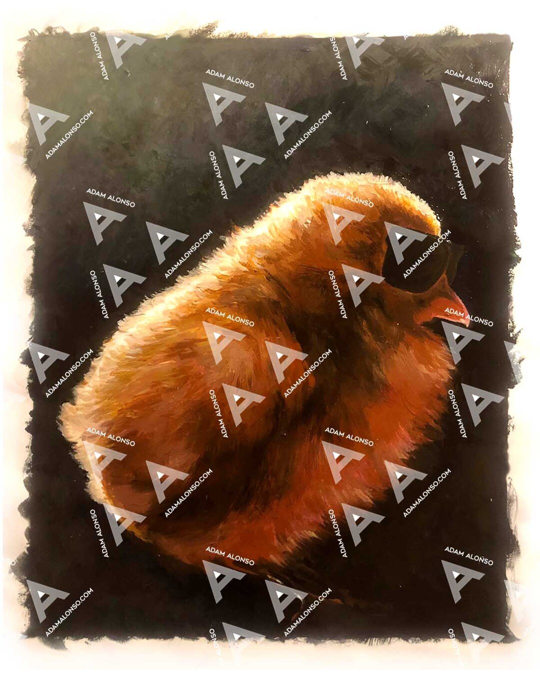 Taylor Swift's ME! "afterglow" Cool Chick Limited Edition Original ...