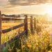 10 Rustic Ranch Fence Backgrounds, Wall Art, Digital Backdrop ...
