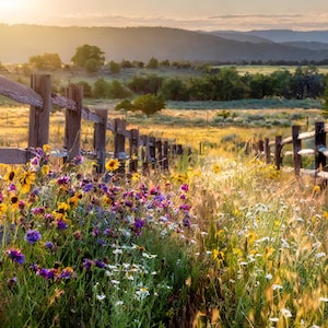 10 Rustic Ranch Fence Digital Background, Digital Backdrop, Rustic ...