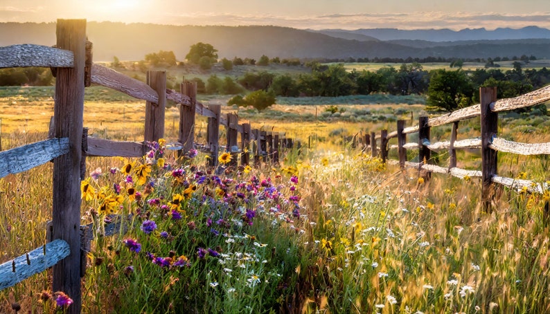 10 Rustic Ranch Fence Digital Background, Digital Backdrop, Rustic ...