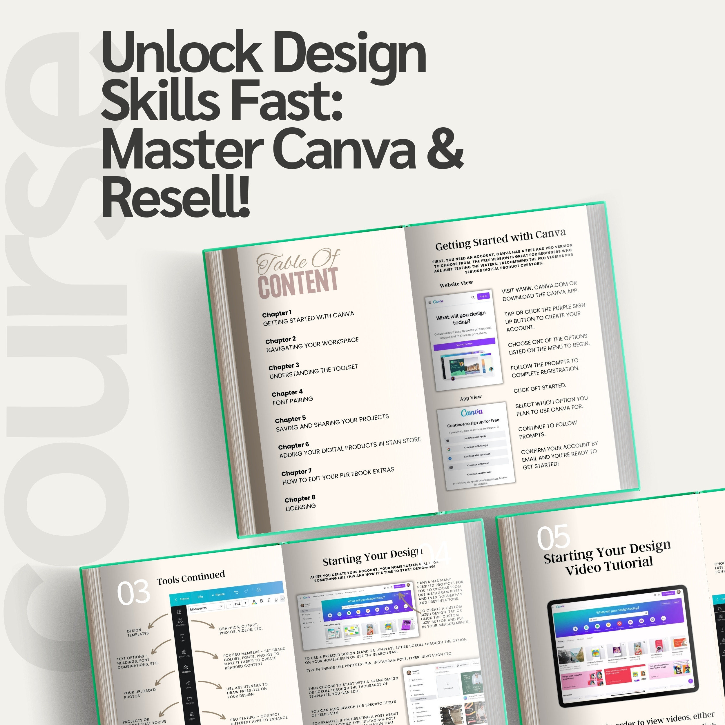 PLR Canva Crash Course Master Resell Rights Canva Guide Template Done ...