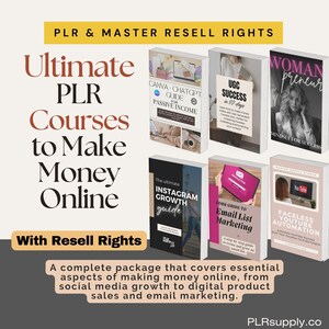 PLR Digital Products PLR Course Make Money Online Dfy MRR Digital Products Done for You Courses ...