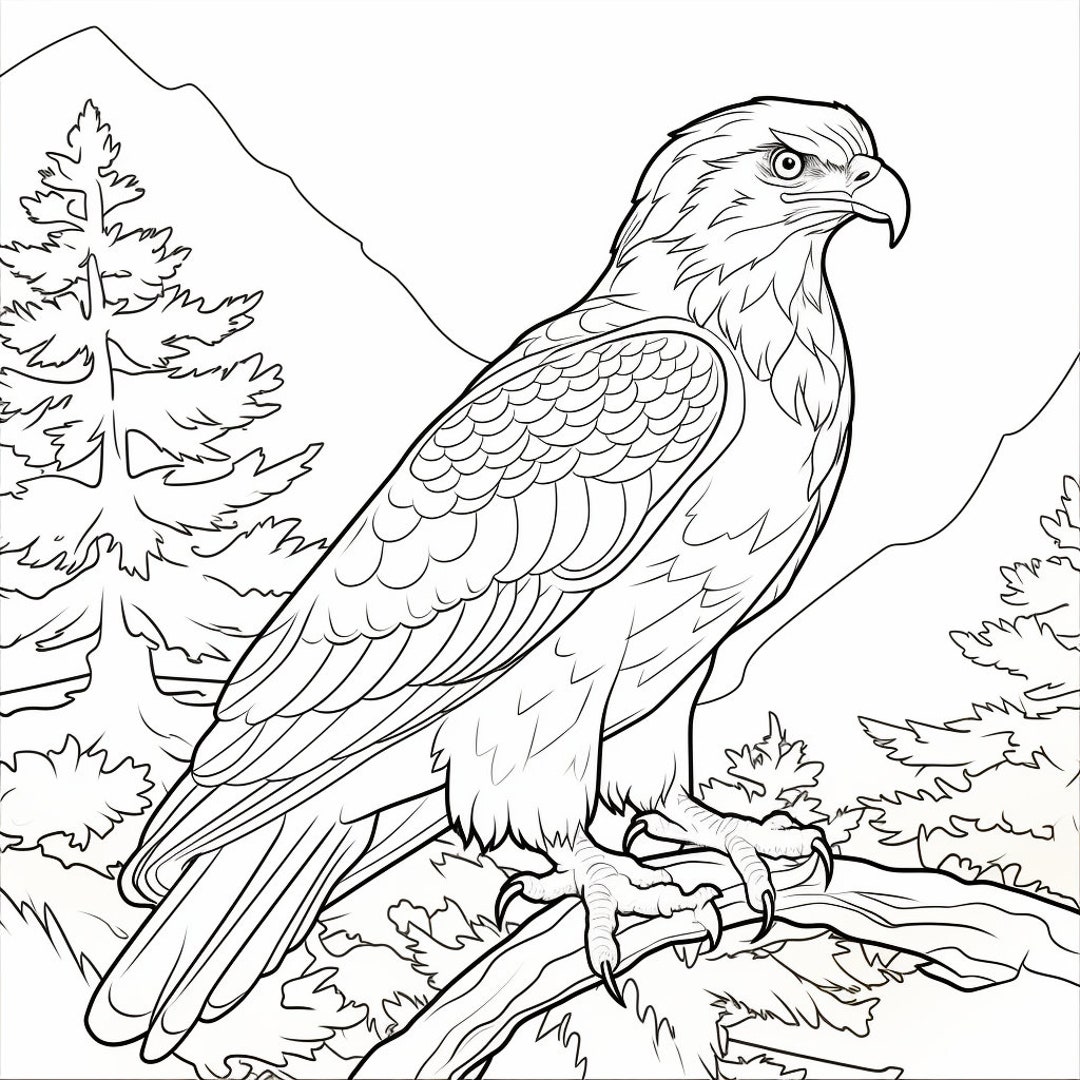 Bird Coloring Pages - 20 Pack - Etsy
