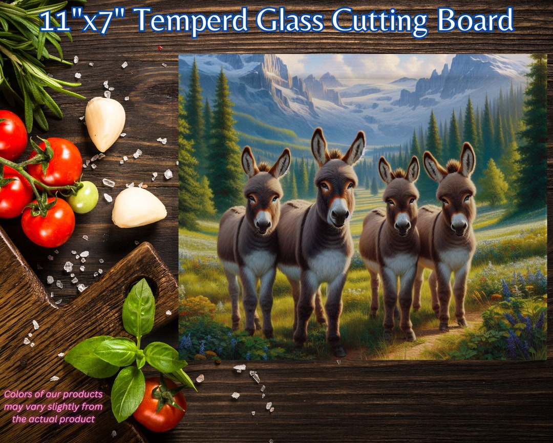 Farmhouse Decor, Countertop Art, Donkey Lover Gift, Gift for Donkey ...