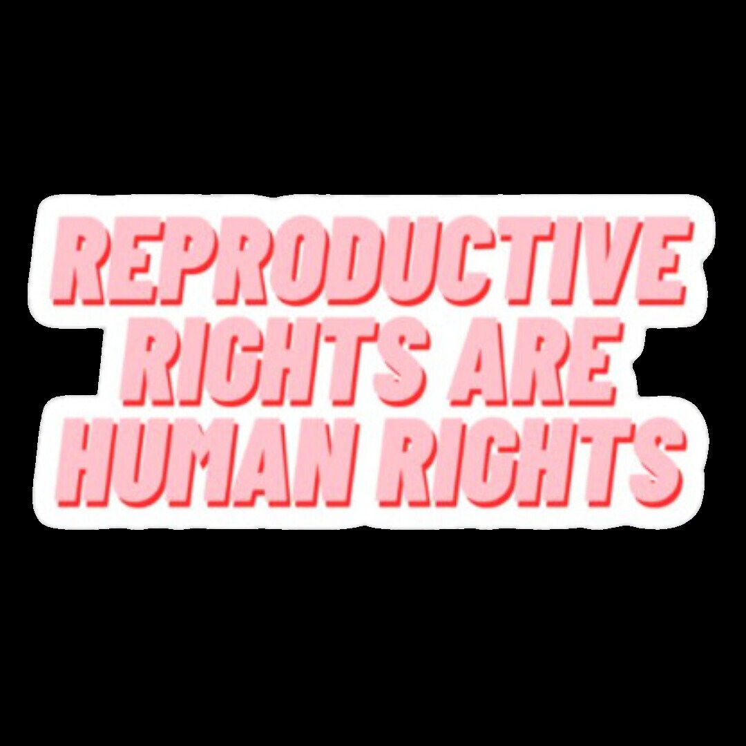 Reproductive Rights Are Human Rights / Premium Die Cut Vinyl Sticker ...